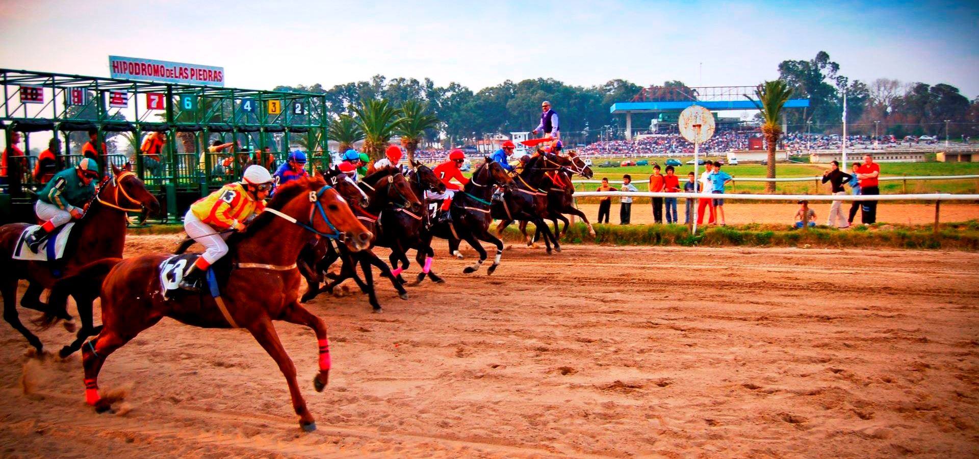 CICAN Cámara Inmobiliaria de Canelones